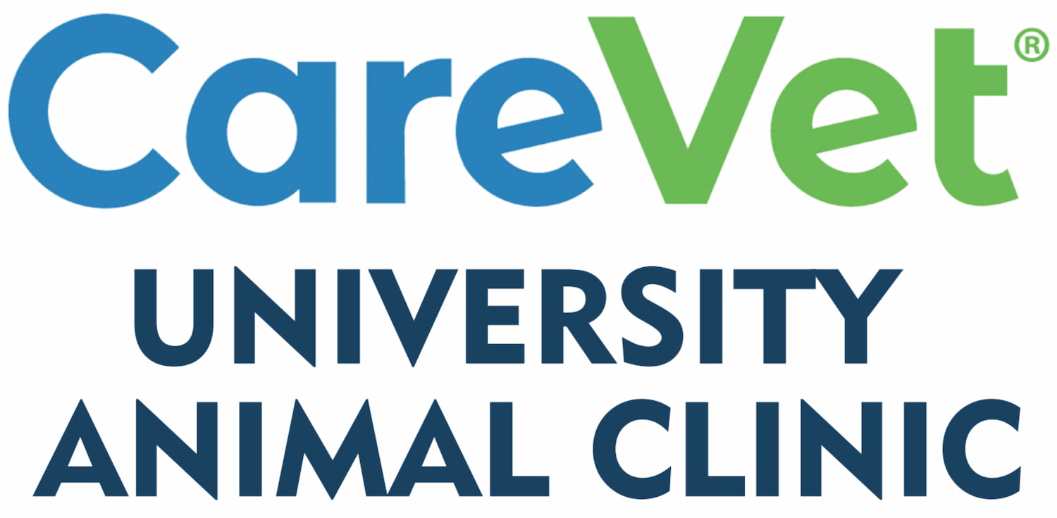 Wellness Care - CareVet University Animal Clinic, Veterinarian in ...