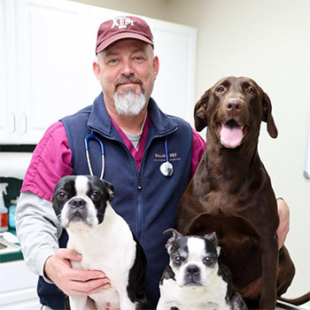 Testimonials | CareVet