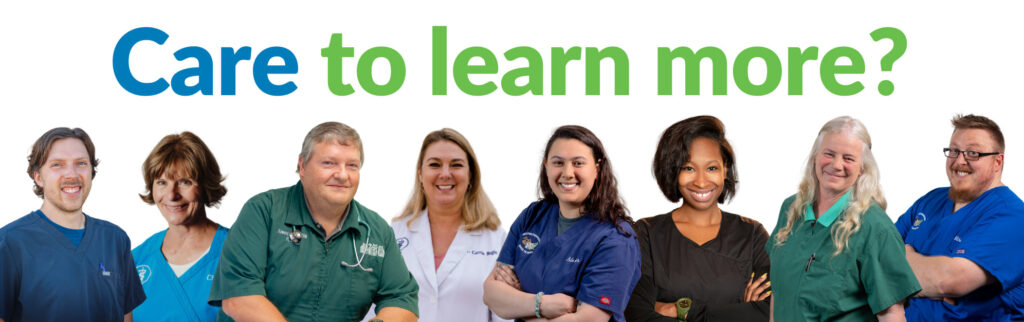 Contact Us | CareVet