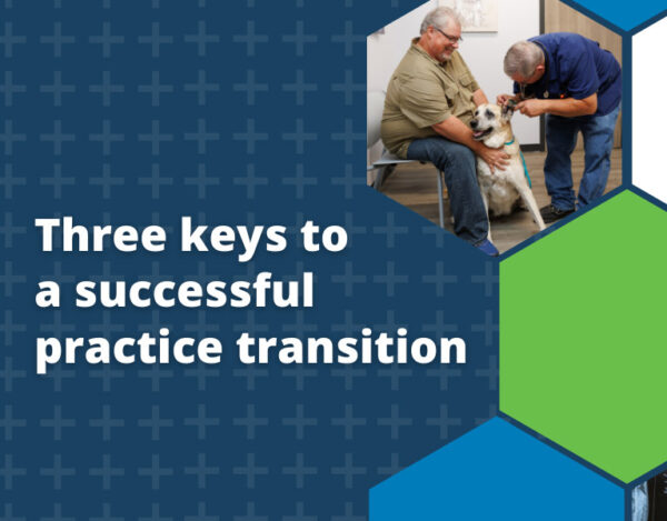 Three Keys to a Successful Practice Transition | CareVet